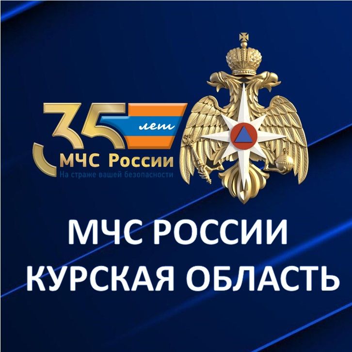 Иконка канала Главное управление МЧС России по Курской области