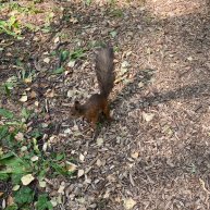 Иконка канала Твердое тело