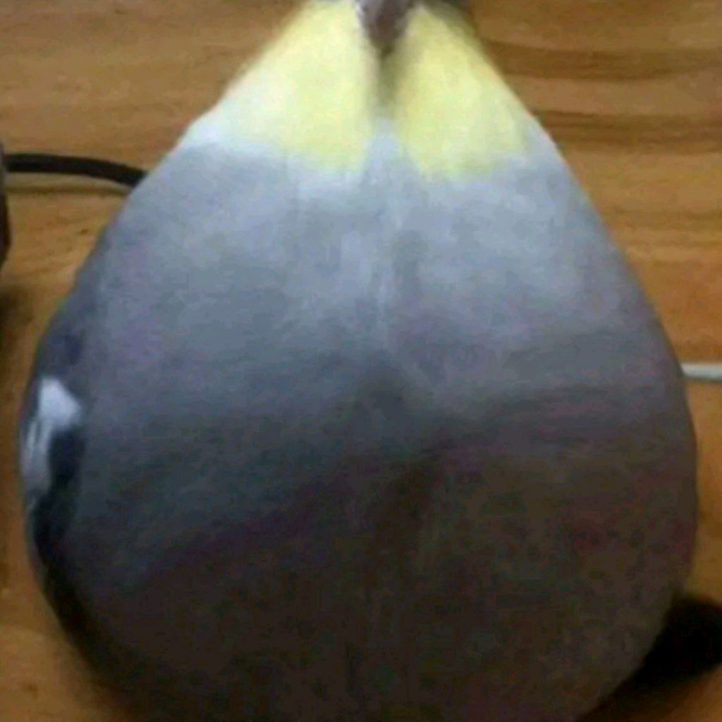 Иконка канала ItsTortik