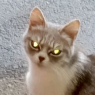 Иконка канала vanoboss777