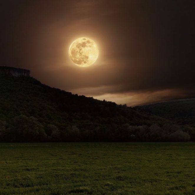 Иконка канала POLNAOSEN_Q