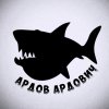 Иконка канала АРДОВ АРДОВИЧ