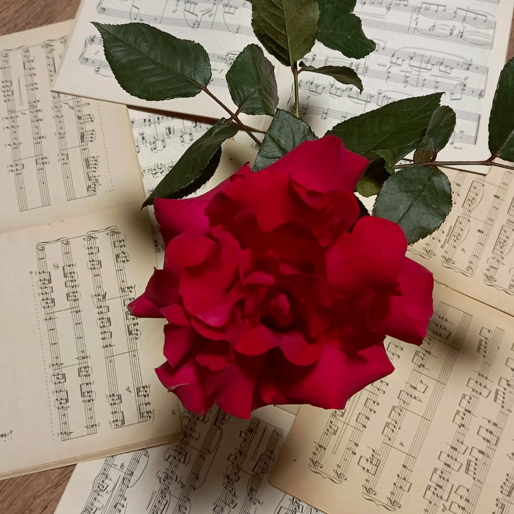 Иконка канала channel75096703