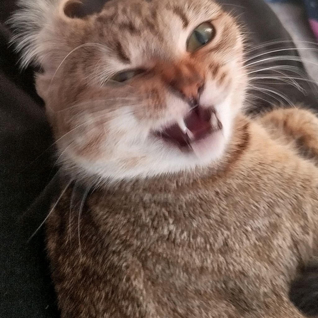 Иконка канала Remenor