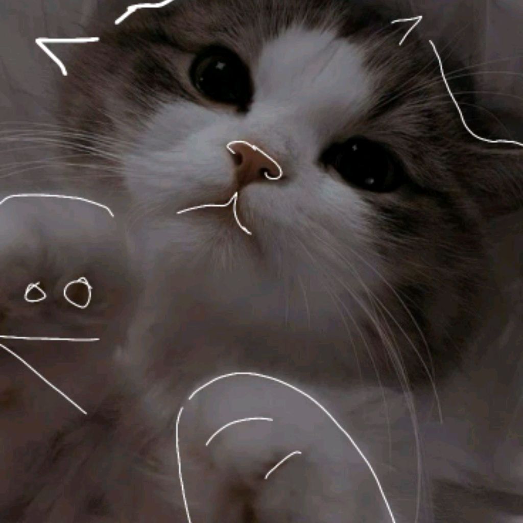 Иконка канала Настёна 🦄🦄