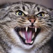 Иконка канала 63 games