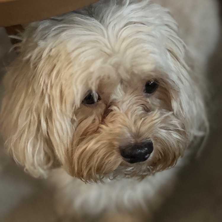 Иконка канала IvanSolo2016