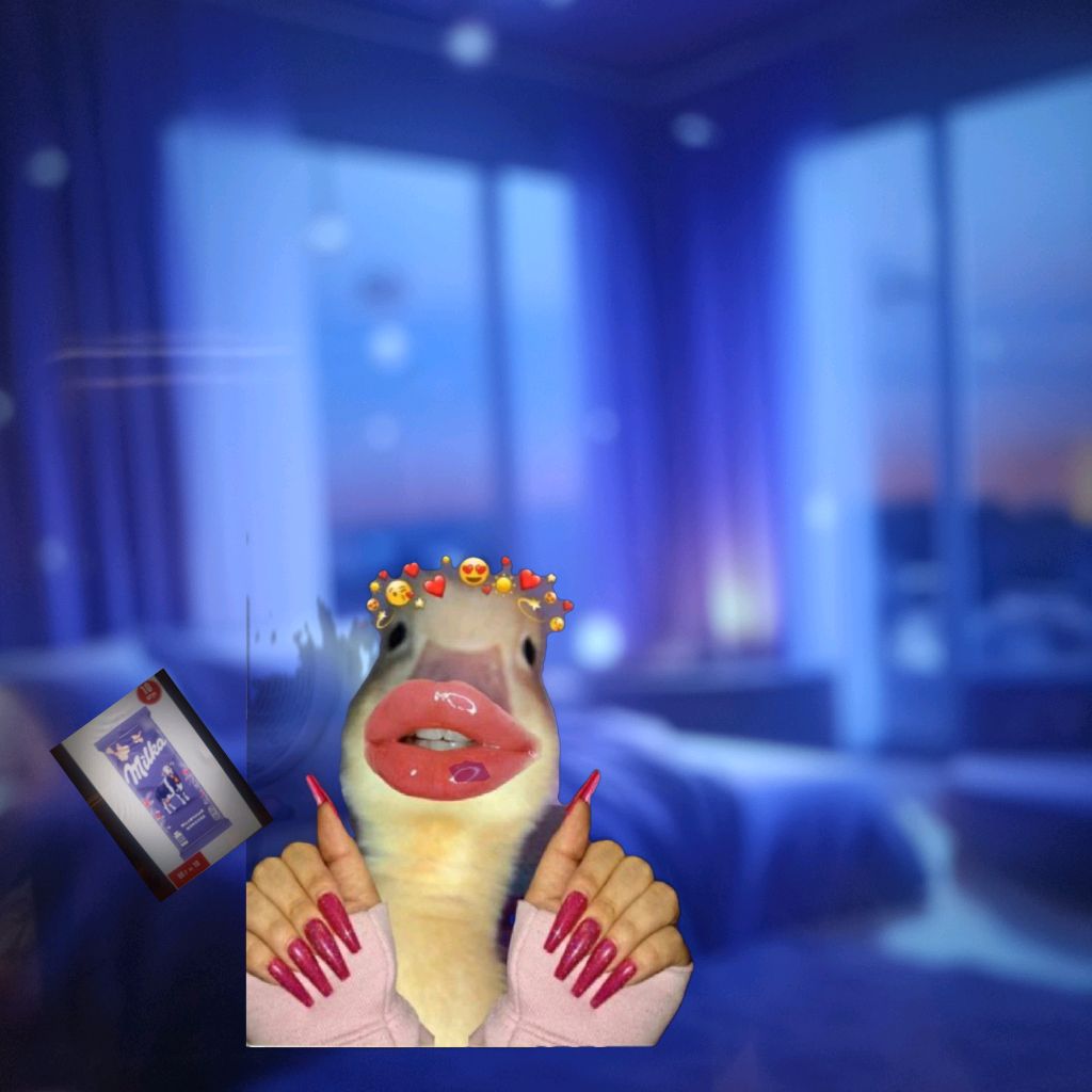 Иконка канала 24лапы. 🍓😻