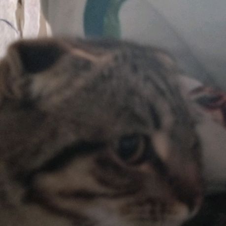 Иконка канала Дарина.8.6...... 3948848