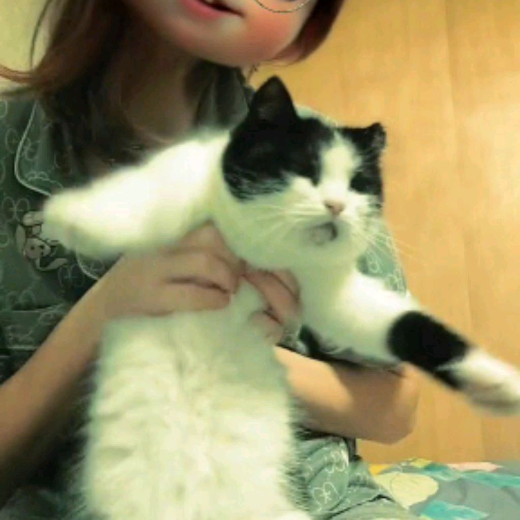 Иконка канала Olga & Pets 🐾