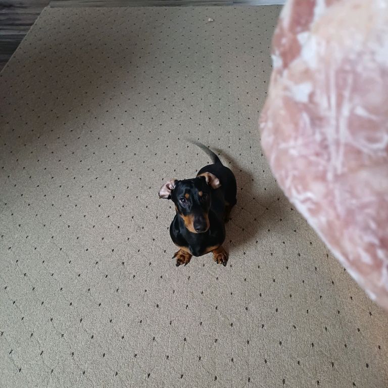 Иконка канала РBS