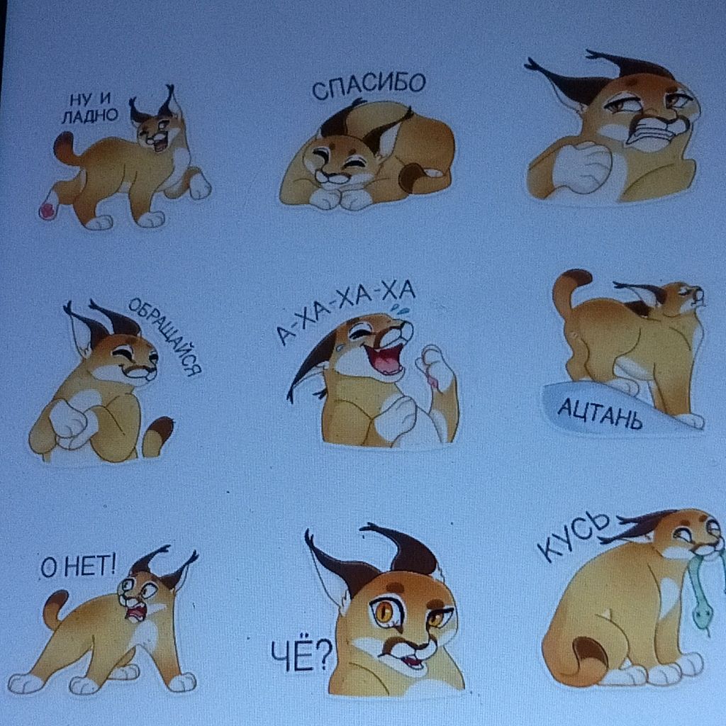 Иконка канала Стикеры Шлепа