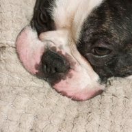 Иконка канала Геката | Снимаю АСМР