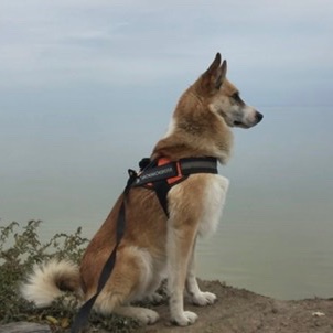 Иконка канала Chips&Snickers