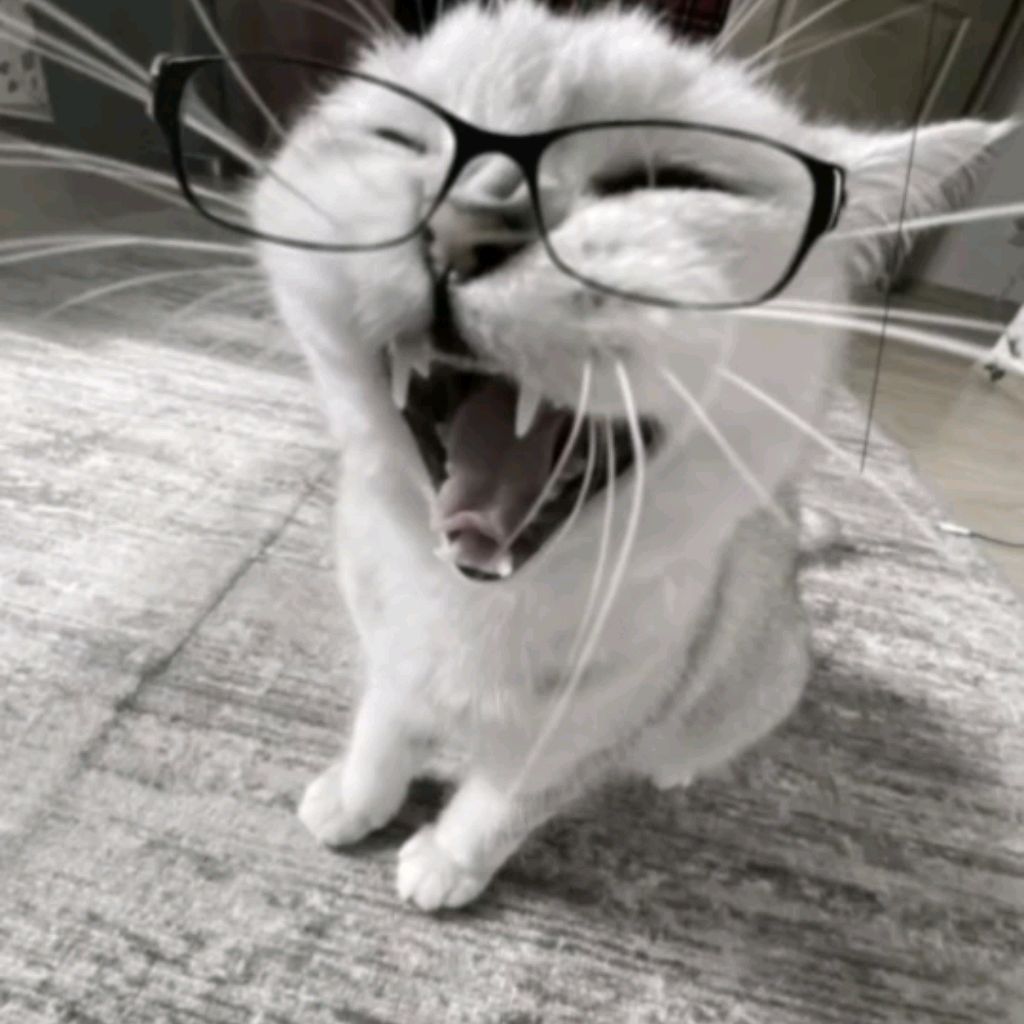 Иконка канала Мила😍❤️