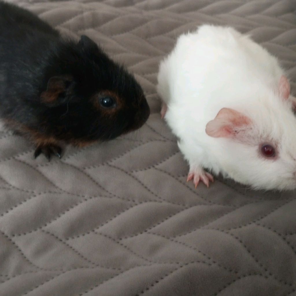 Иконка канала Искорка И Снежинка