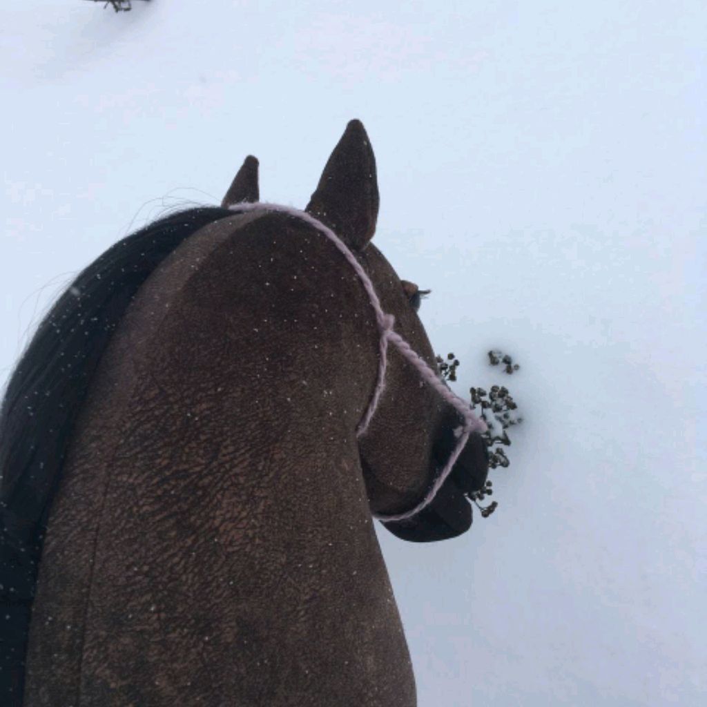 Иконка канала Хорс-влог