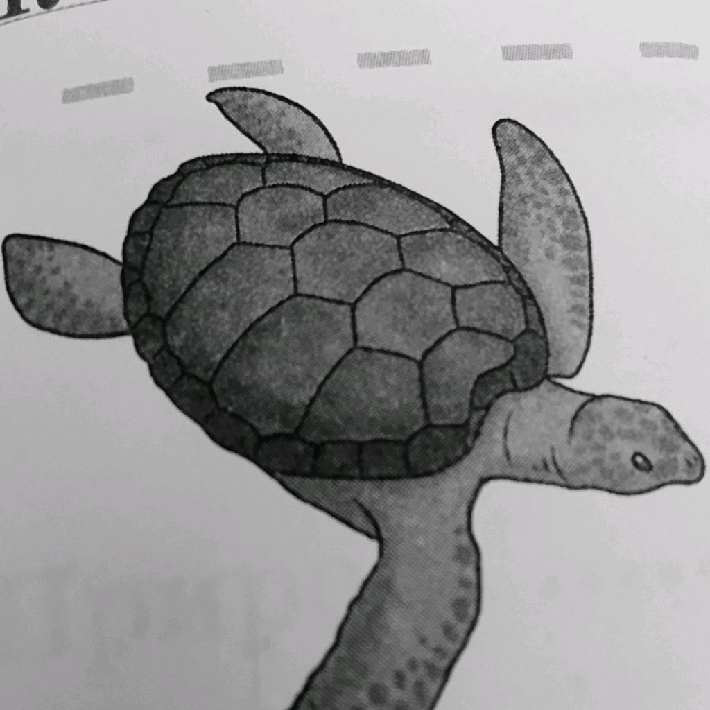 Иконка канала ААА