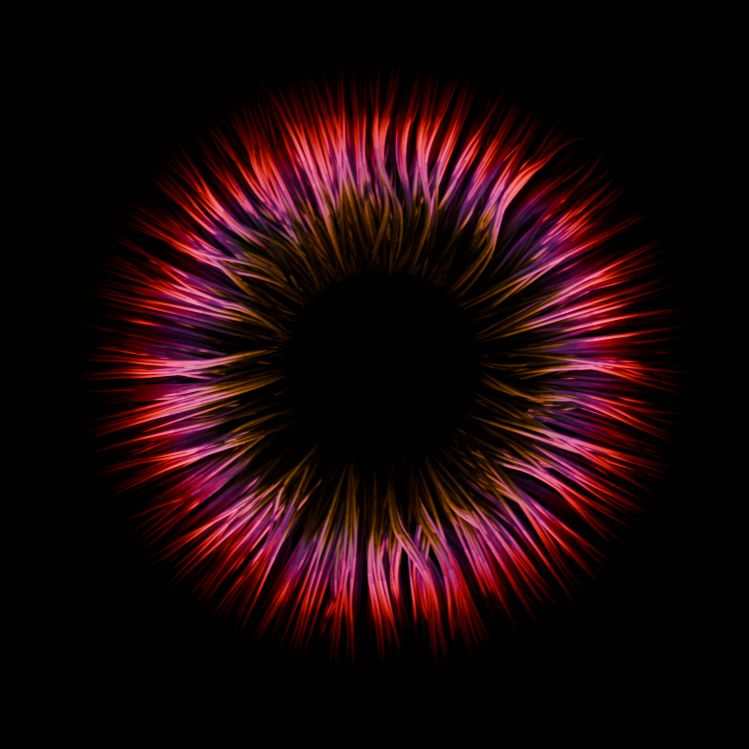 Иконка канала Гильом