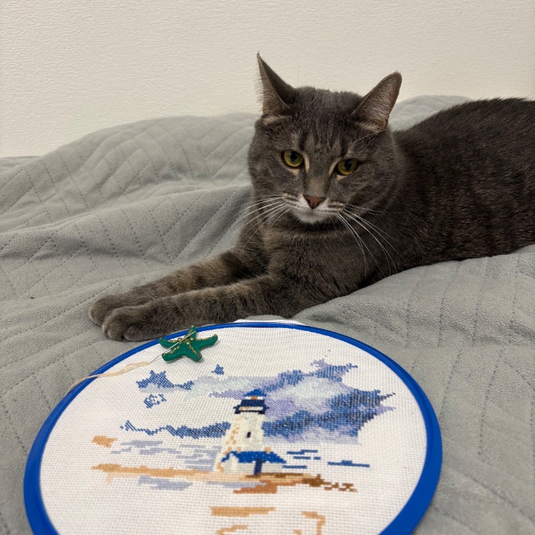 Иконка канала iraida_land