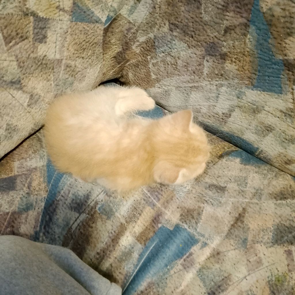 Иконка канала rutube_account_12552451