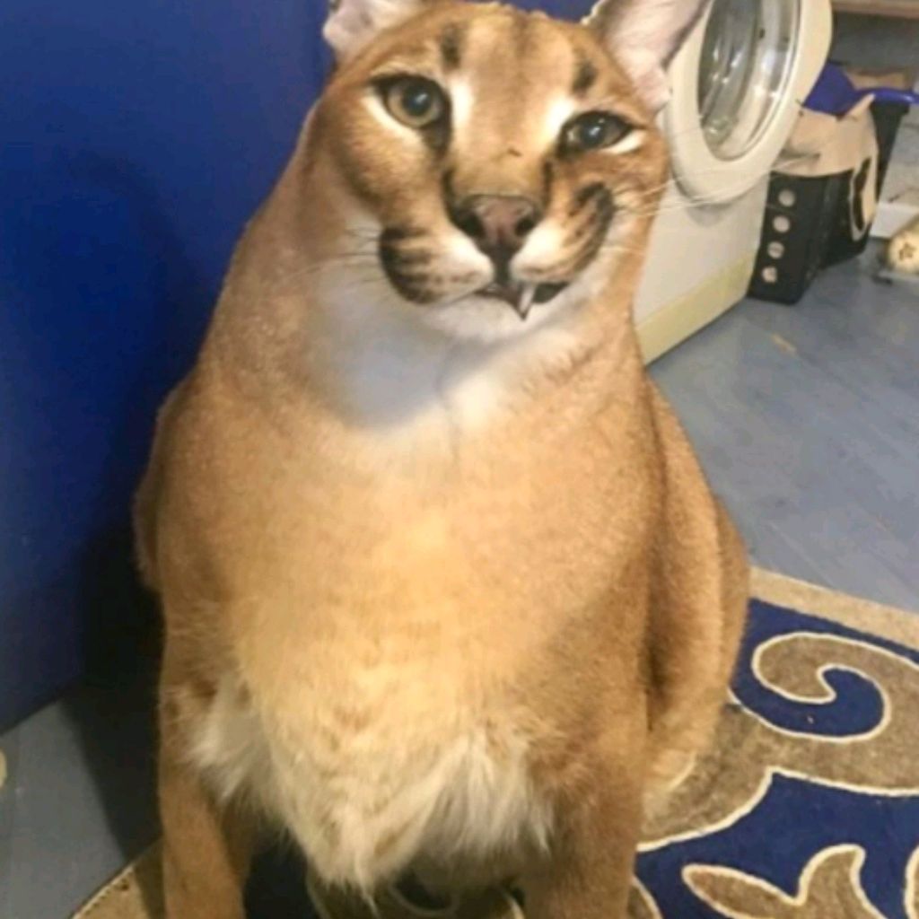 Иконка канала Артёмка