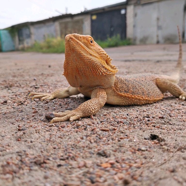 Иконка канала channel75185547