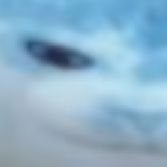 Иконка канала NERPINARIUM...(🐈💚🤝)