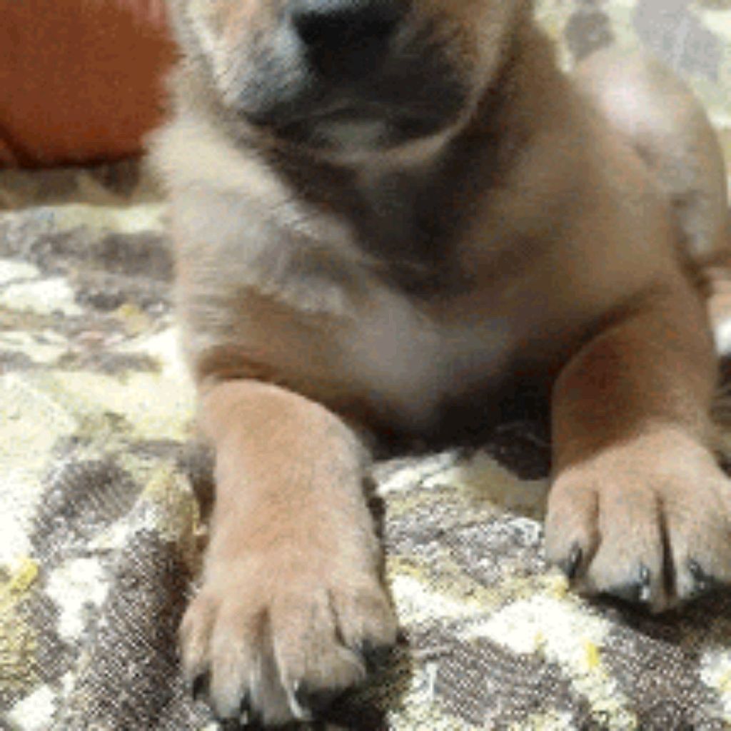 Иконка канала Андрей