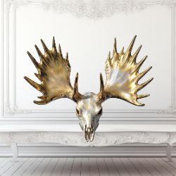 Иконка канала Г. Остроликий | «Стремление»