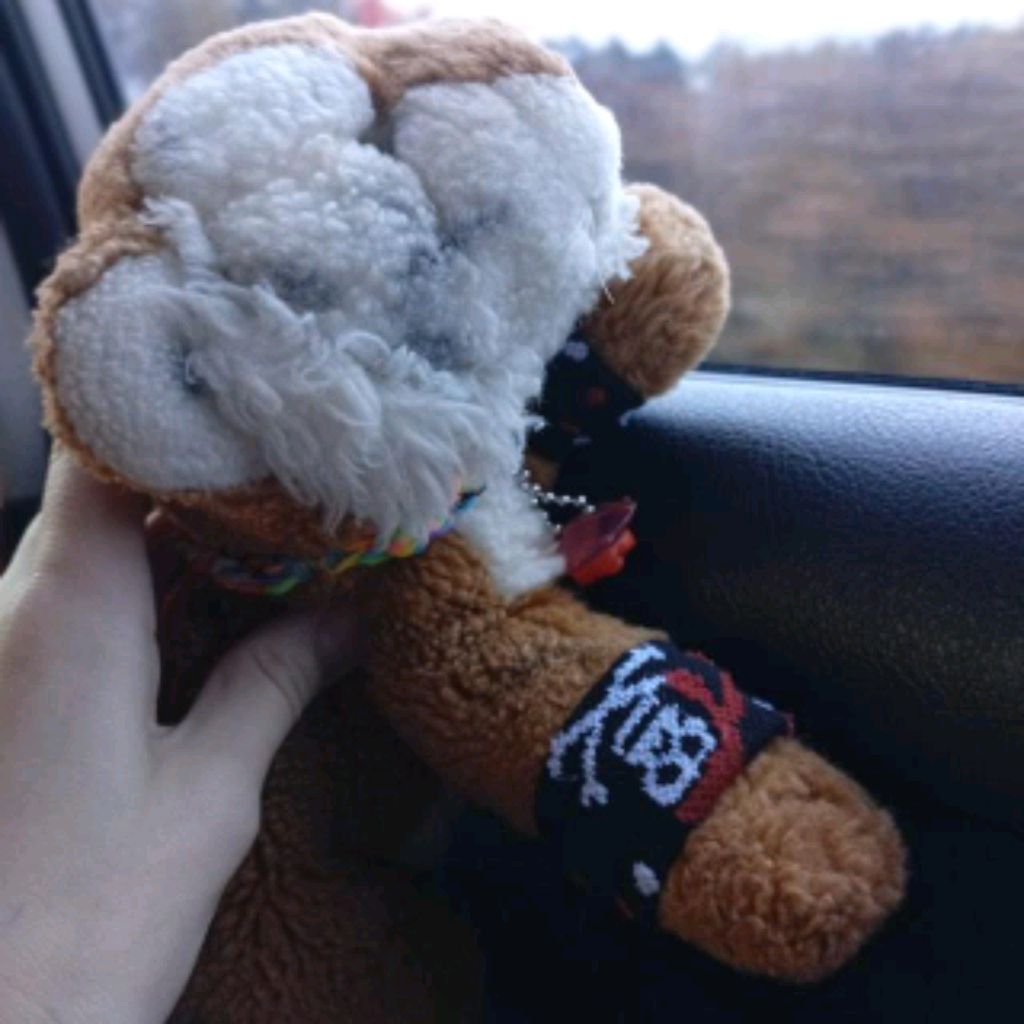 Иконка канала 🌺Полосатик🌹