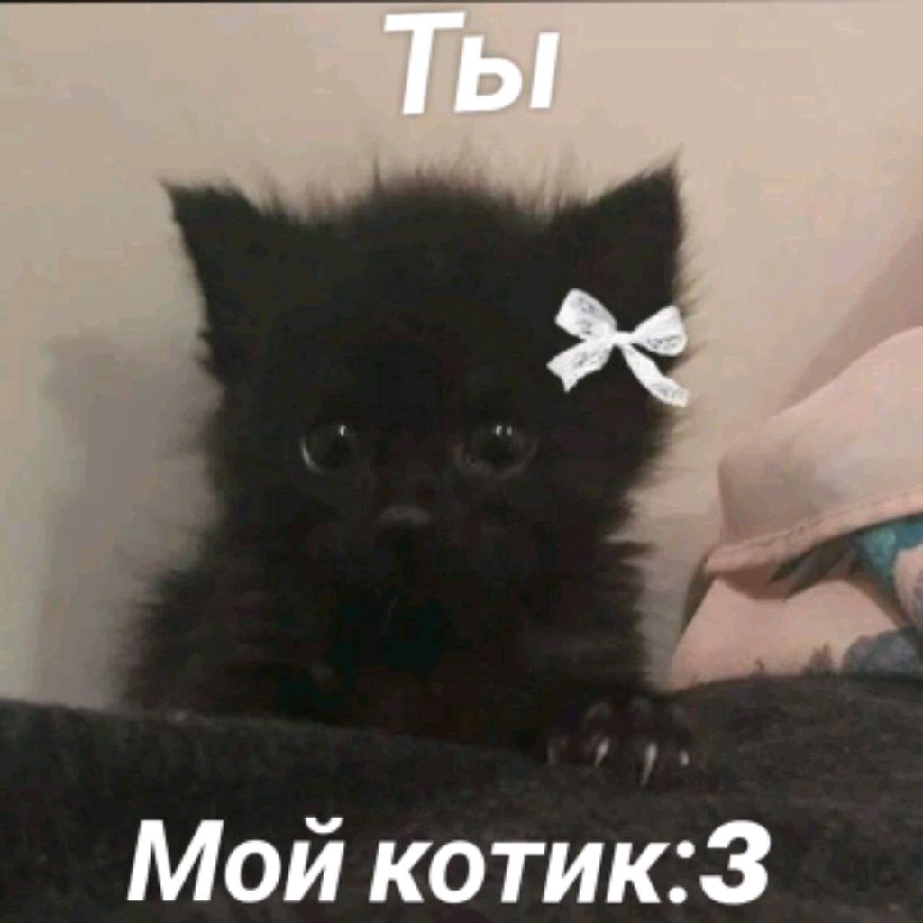 Иконка канала Anton Ganton