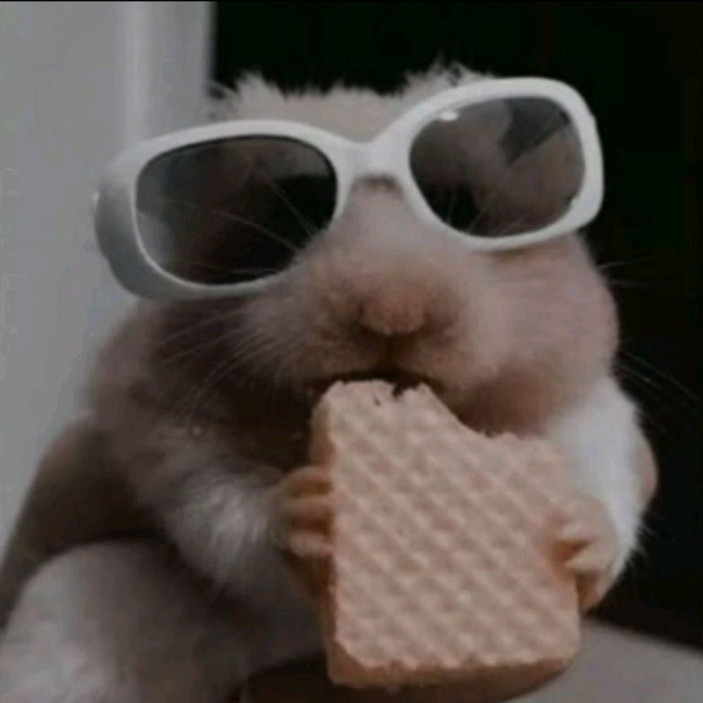 Иконка канала ИгроХомякЖеня🖥