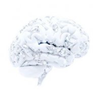 Иконка канала AIN EDUCATION | Consciousness Hack&Tech