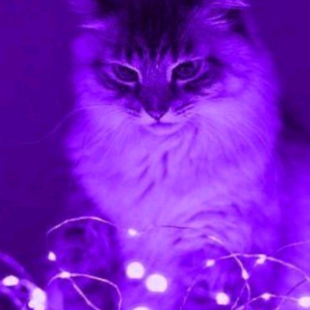 Иконка канала 💜°•gacha fart!!~..🐈•°