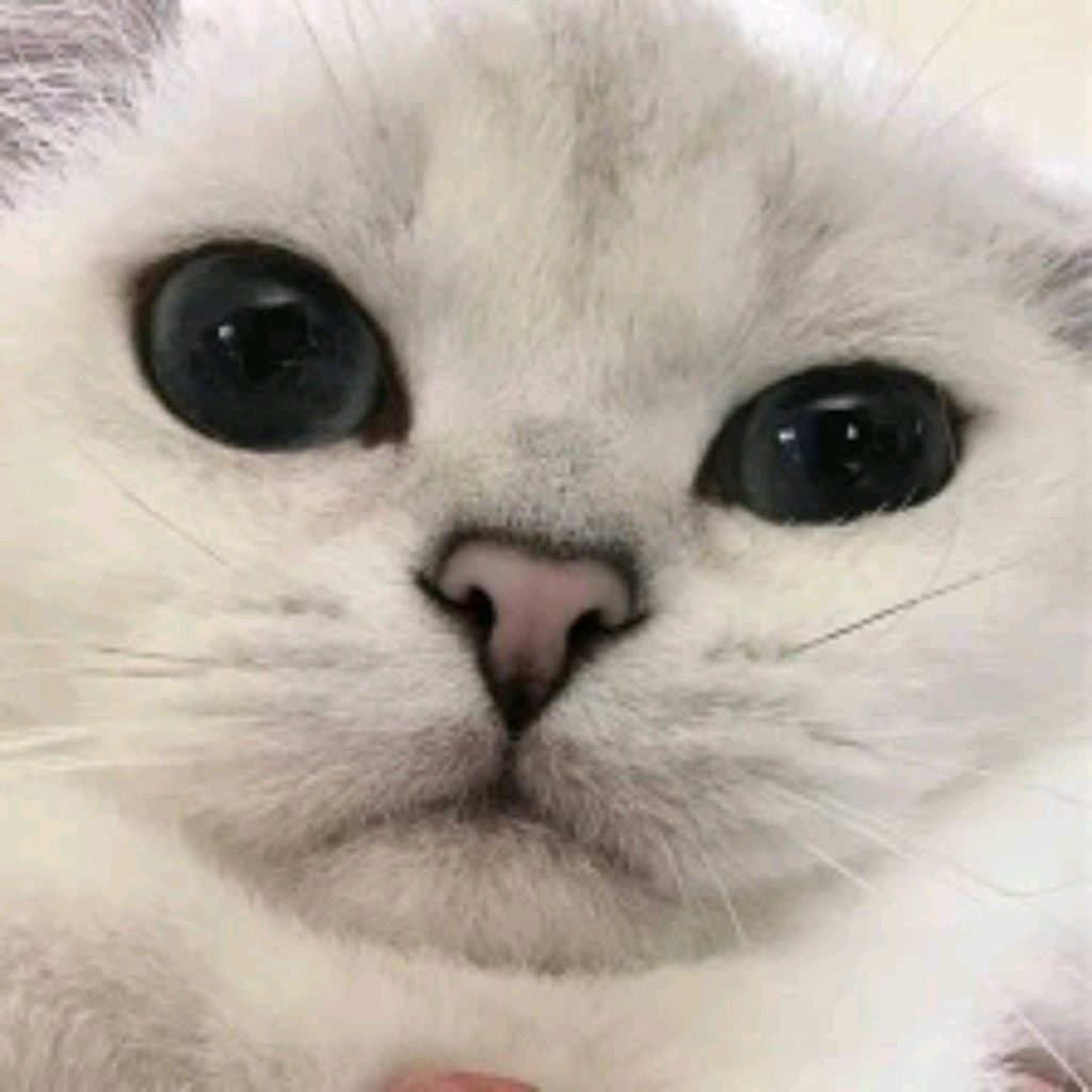 Иконка канала Сонечка🩷🩷🩷