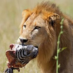 Иконка канала Сергей Владимирович