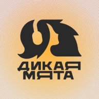 Иконка канала Фестиваль «Дикая Мята»