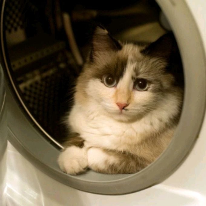 Иконка канала Ксюша Филимонова