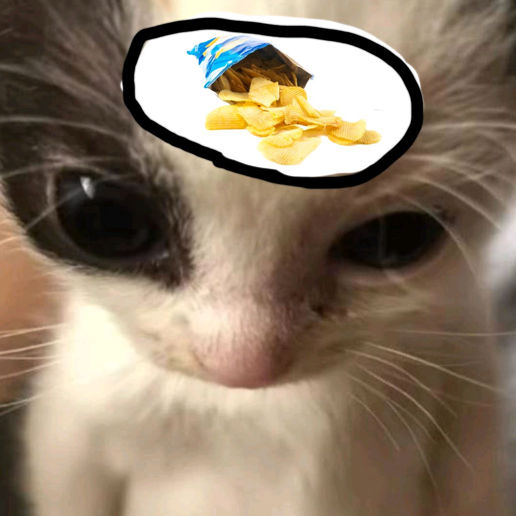 Иконка канала Градус 333