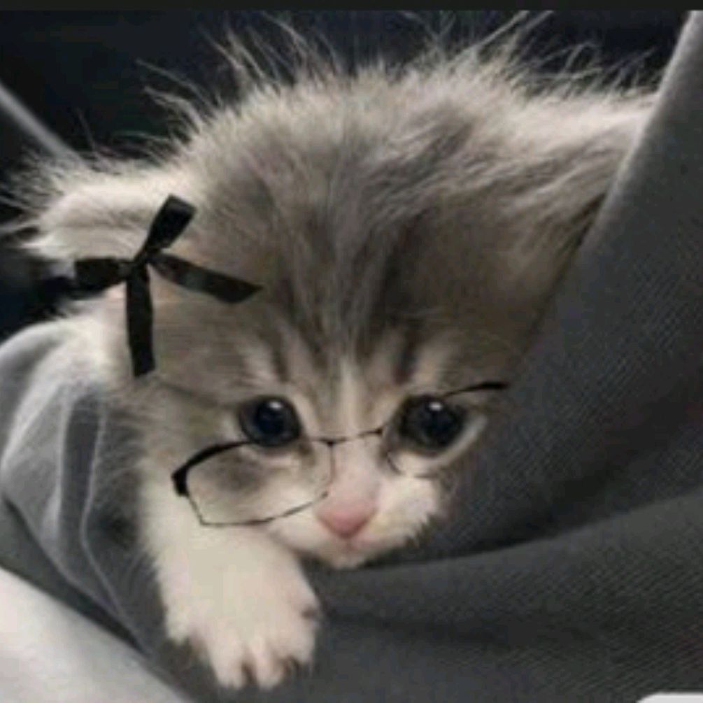 Иконка канала Сарюна Вайп