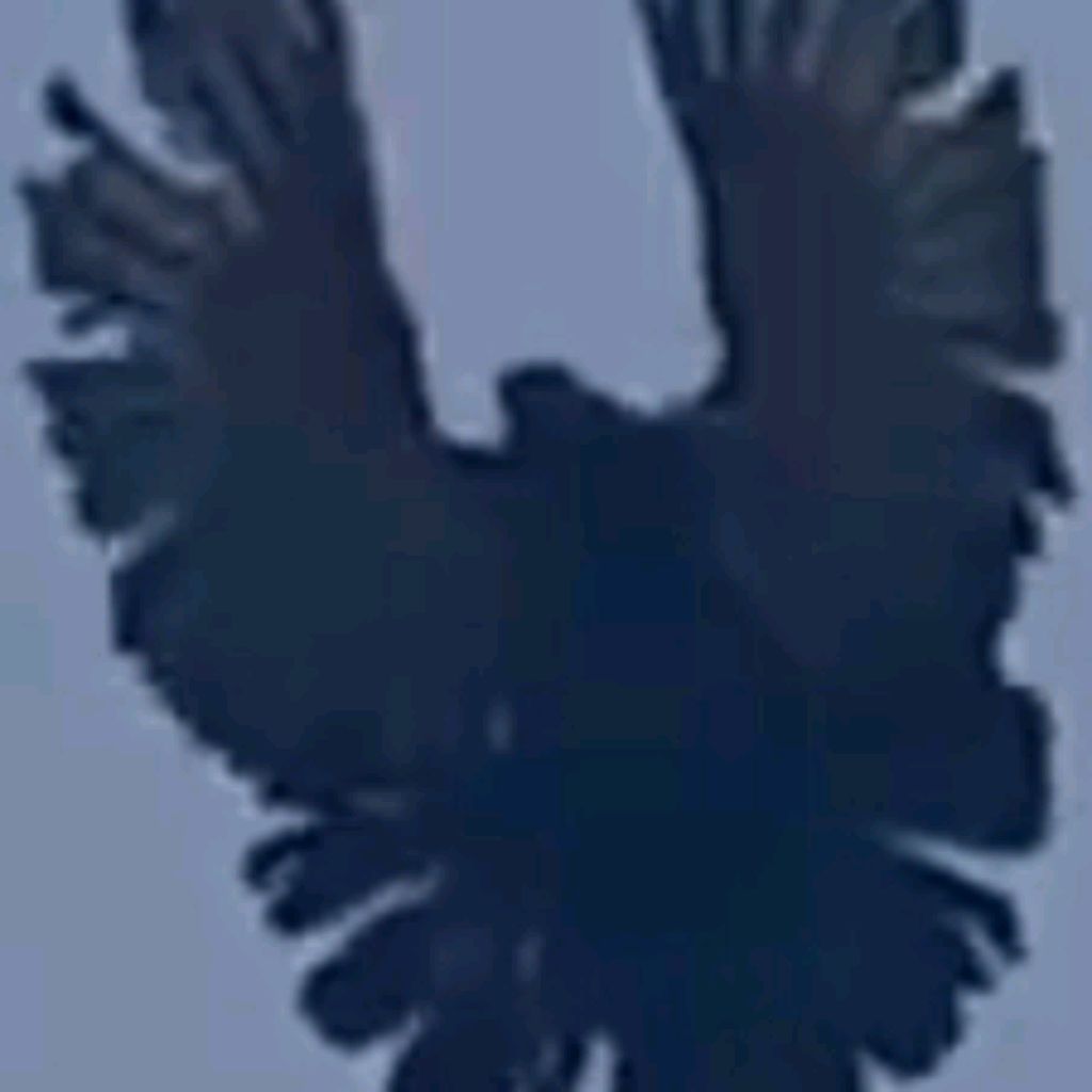 Иконка канала Николаевские Голуби