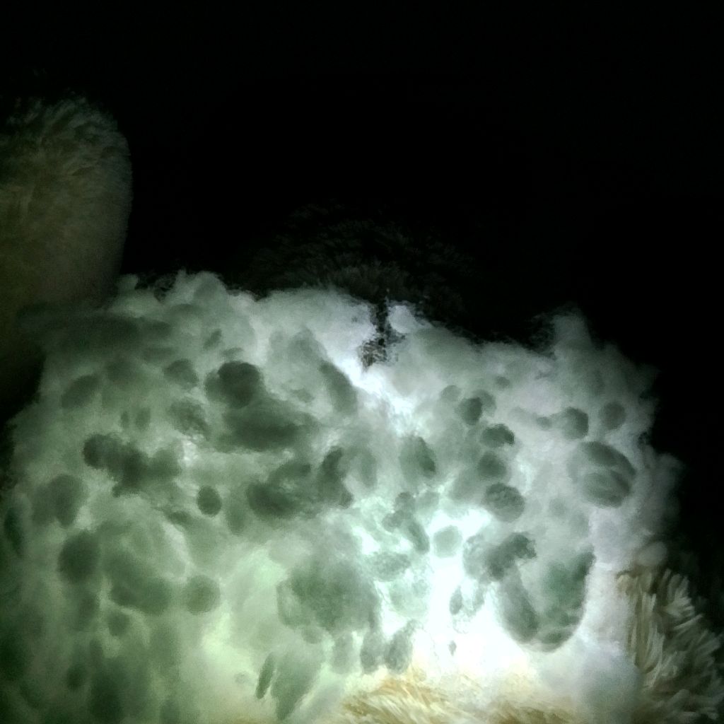 Иконка канала channel75207932