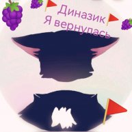 Иконка канала 🍇🚩Диназик🚩🍇( я вернулась)