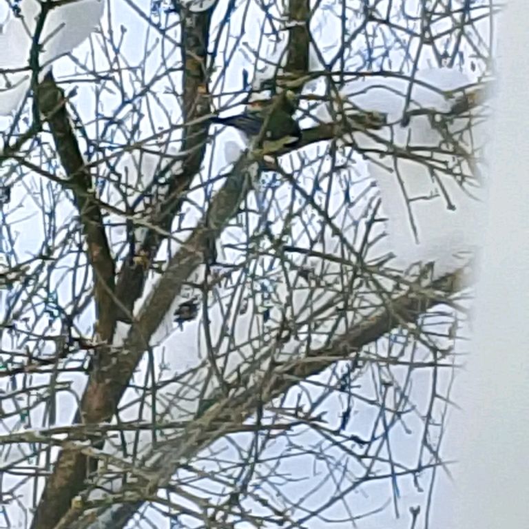 Иконка канала Я Михаил