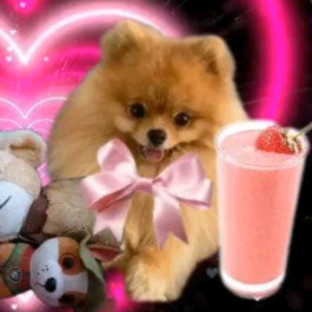 Иконка канала Шпиц Одуванчик