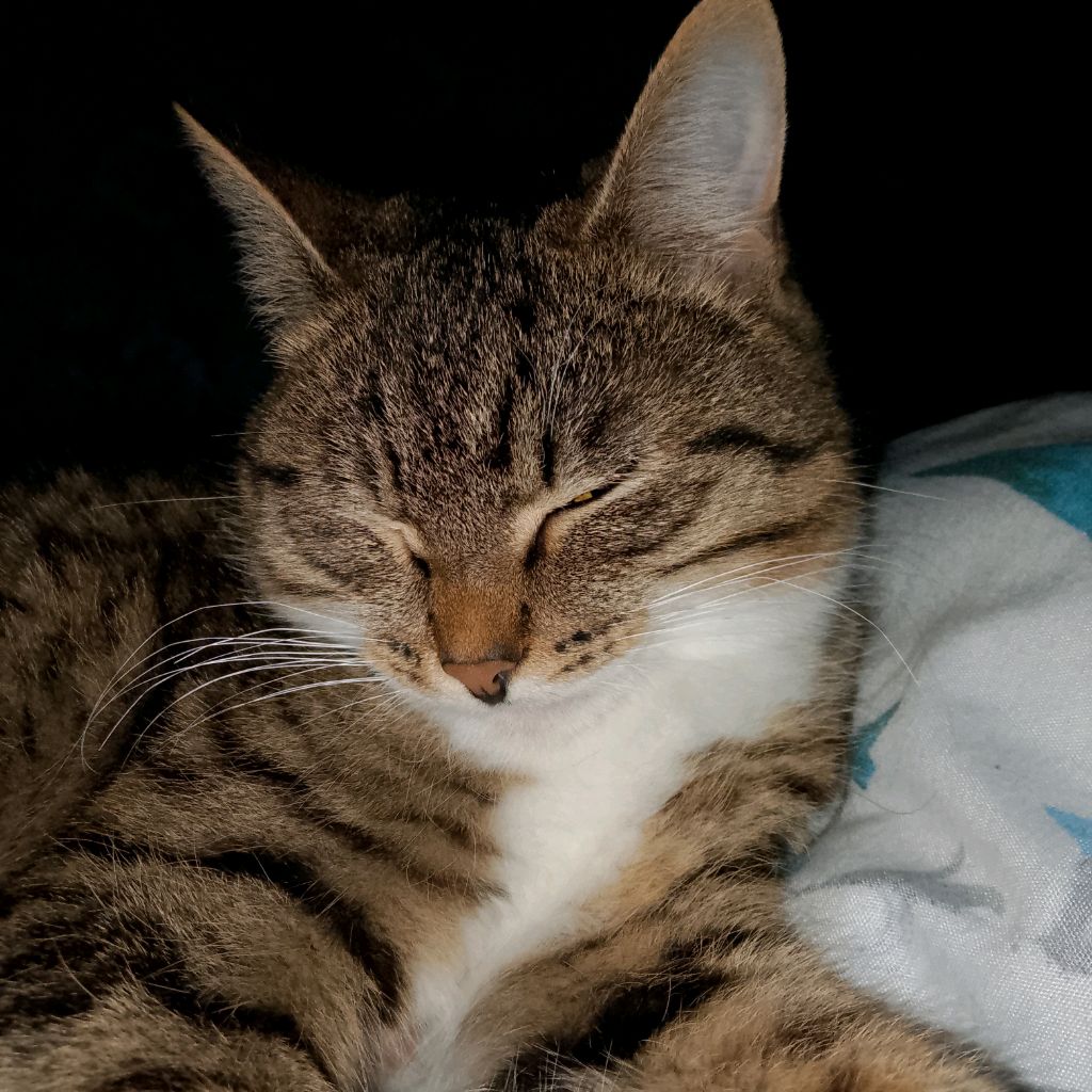 Иконка канала Тишка (Вернулся)