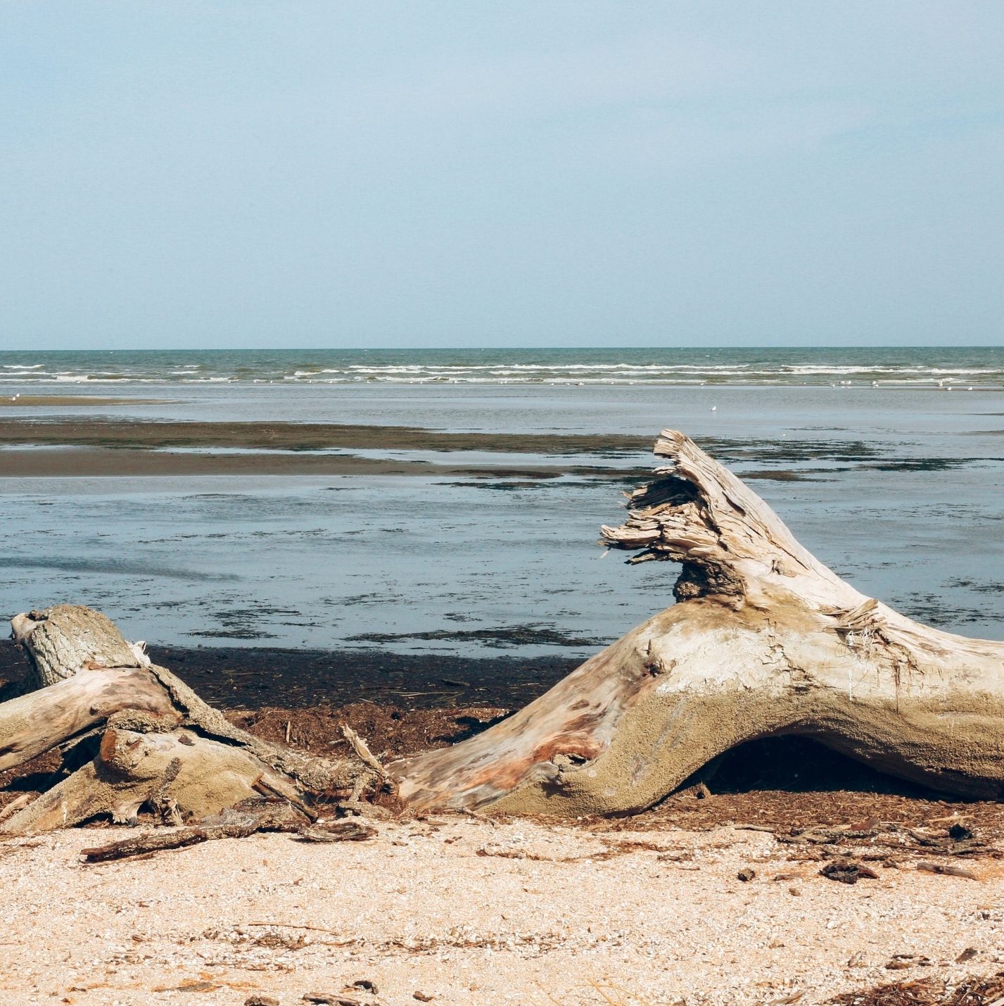 Иконка канала Александр Скиф
