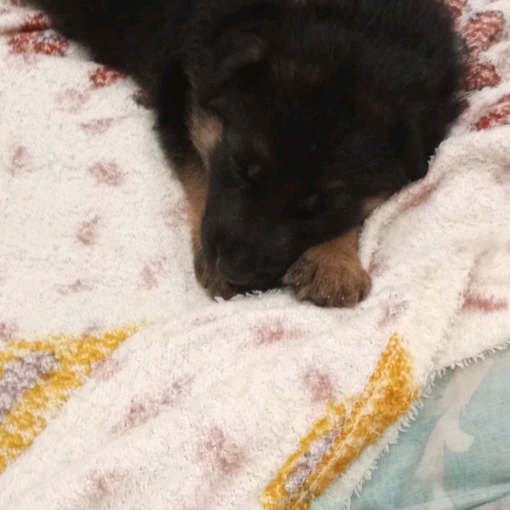 Иконка канала 🌸🌸 Яна 🌸🌸