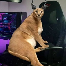 Иконка канала Шлёпа [играет]